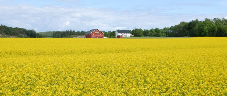 Norsk landbruk - tall og fakta - Landbruksdirektoratet